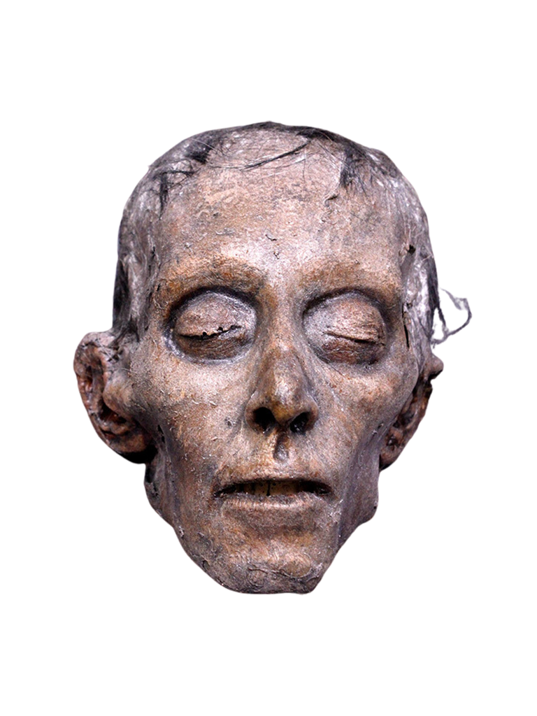 Mummy Morgan Skull Prop – Dapper Cadaver Props