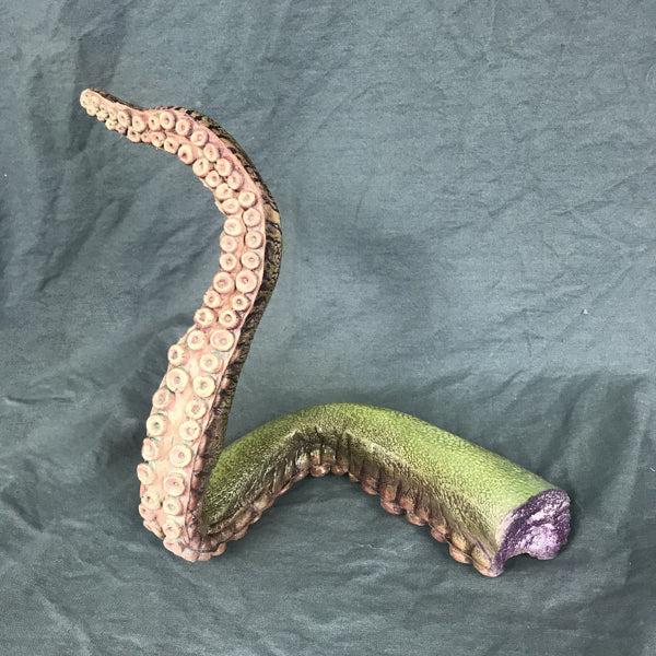 Reptiles, Sealife & Insects – Dapper Cadaver Props