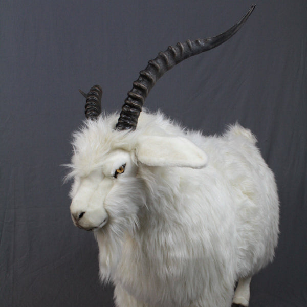 Animal Props - Animal Skulls, Taxidermy & Stunt Doubles – Dapper ...