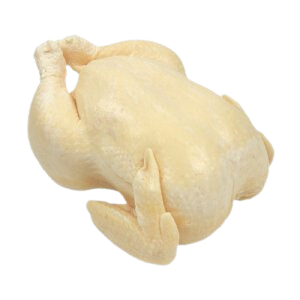 Raw Chicken Prop – Dapper Cadaver Props