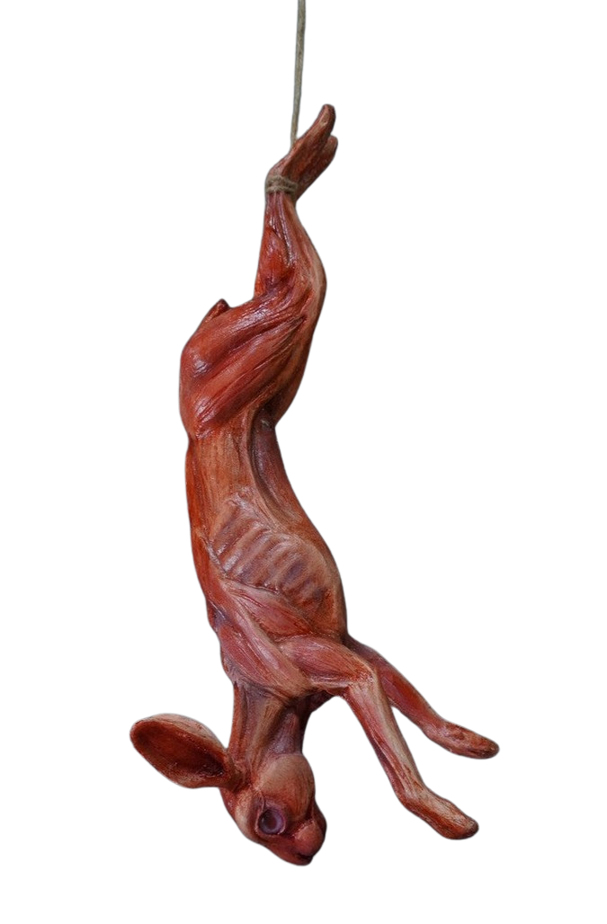Skinned Rabbit Prop – Dapper Cadaver Props