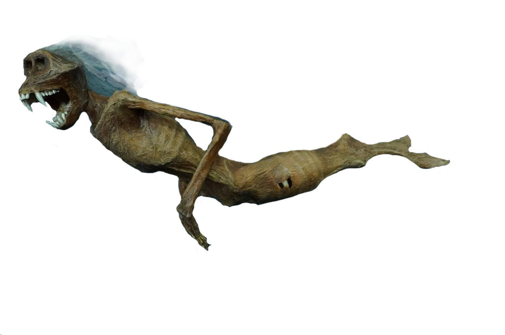 3 Ft. Feejee Mermaid Prop – Dapper Cadaver Props