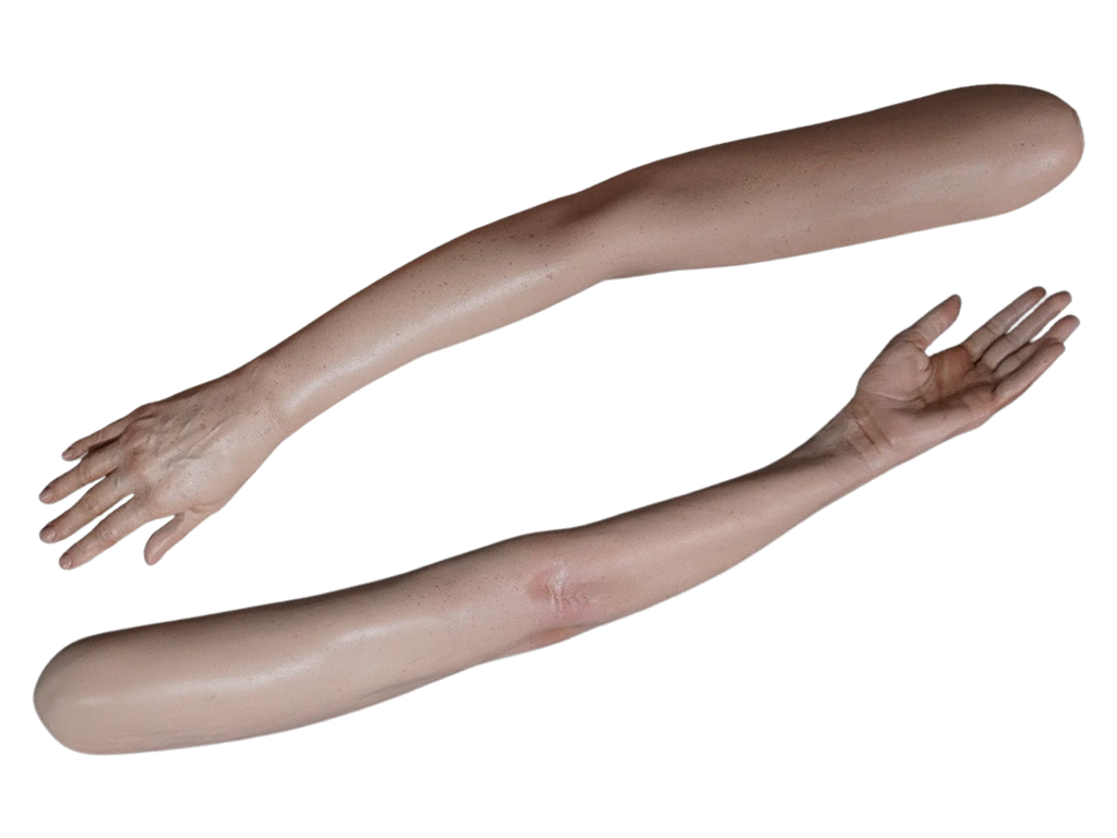 Leslie Full Arm Props – Dapper Cadaver Props