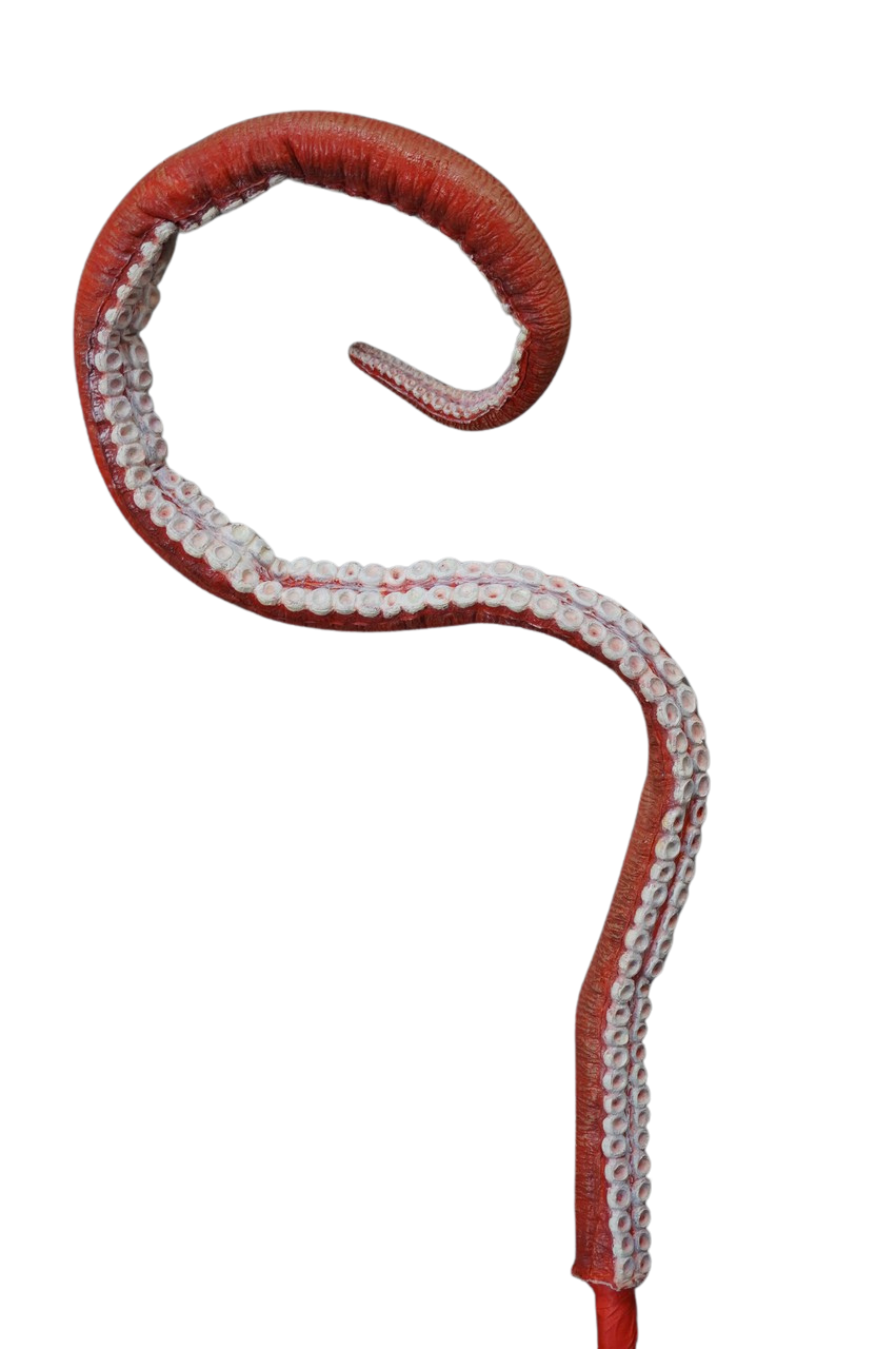 5ft Long Poseable UV Giant Octopus Tentacle – Dapper Cadaver Props