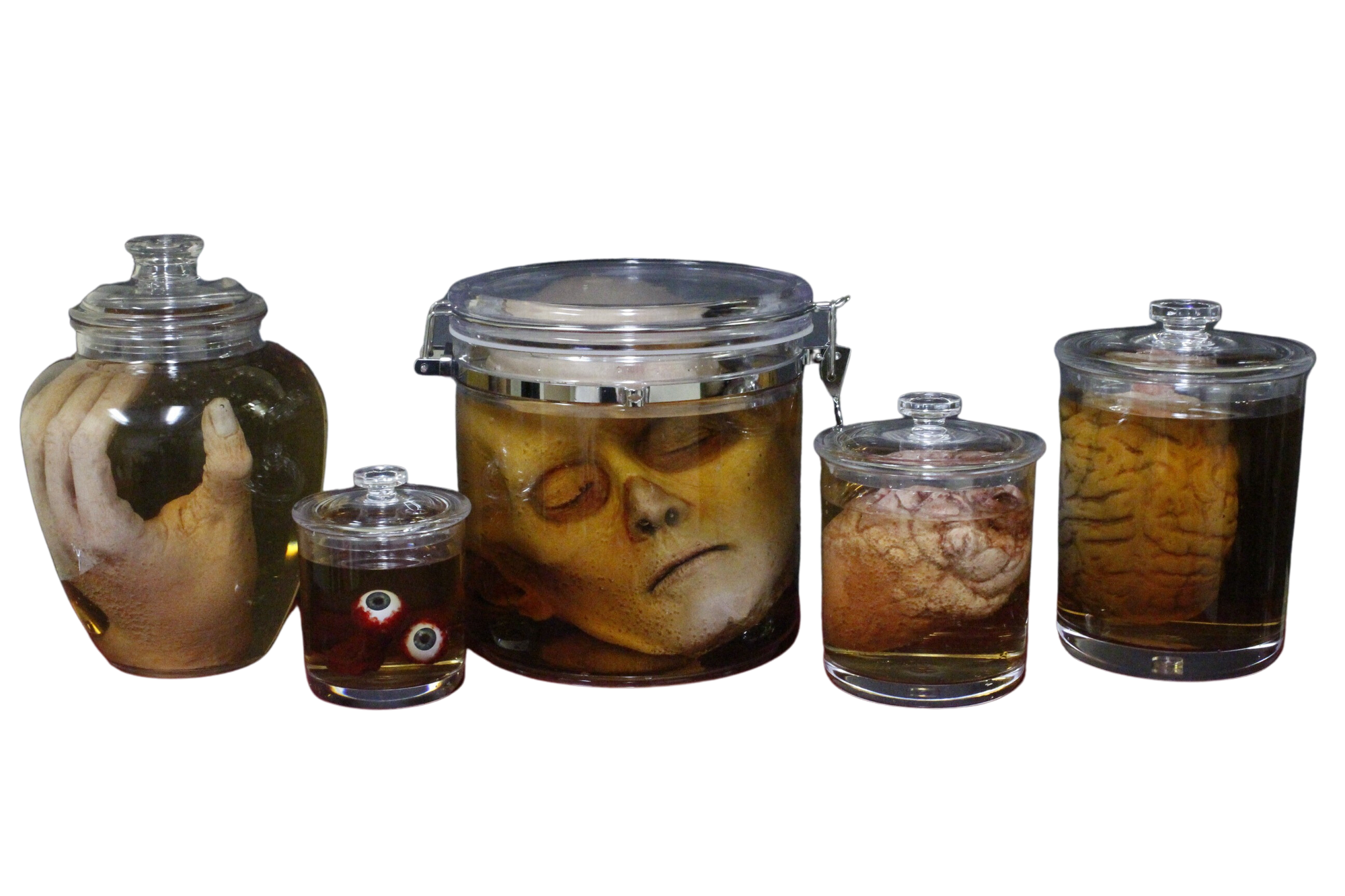 Body Parts Shatterproof Specimen Jar Combo – Dapper Cadaver Props