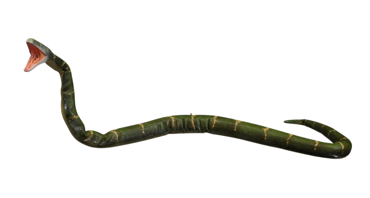 7ft Poseable Boa Snake Prop – Dapper Cadaver Props