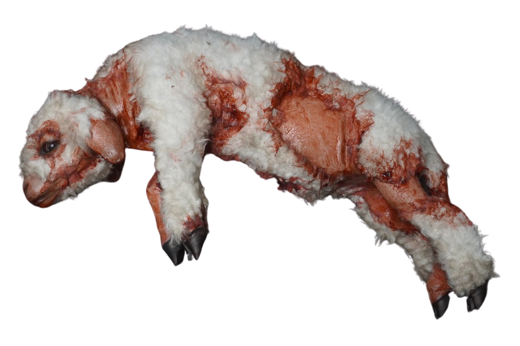 Wounded Lamb Prop – Dapper Cadaver Props