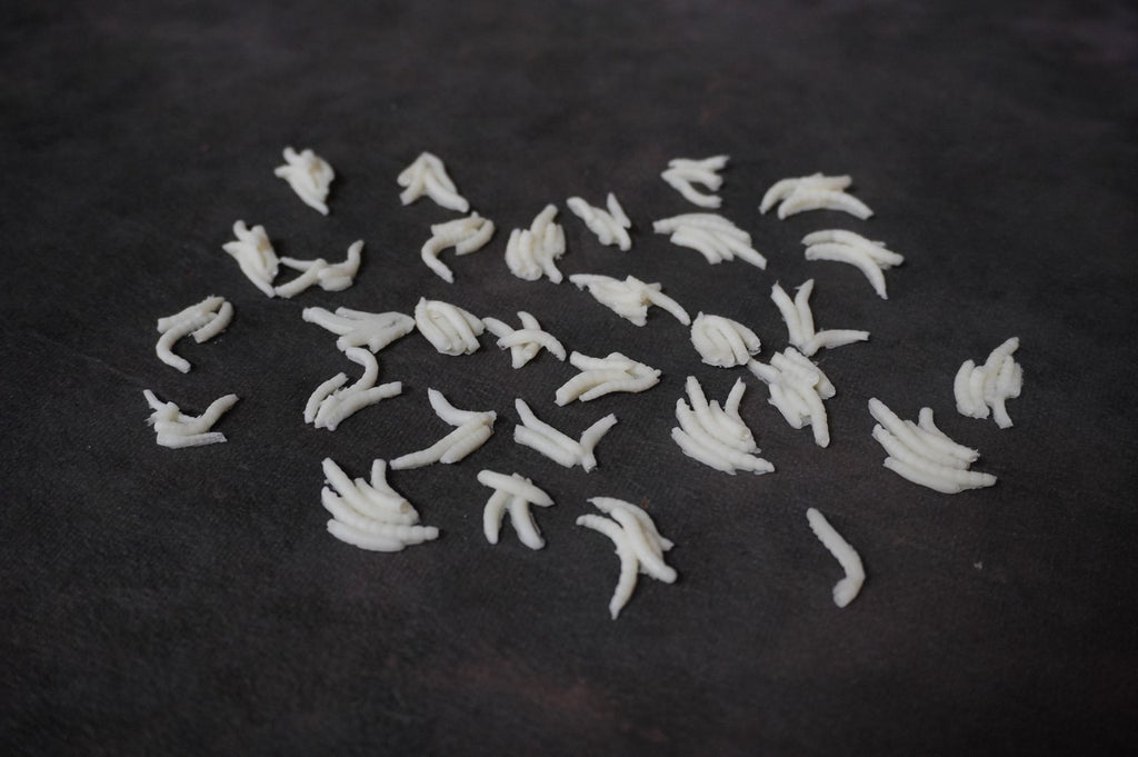 Jar of 30 Clustered Rubber Maggots – Dapper Cadaver Props