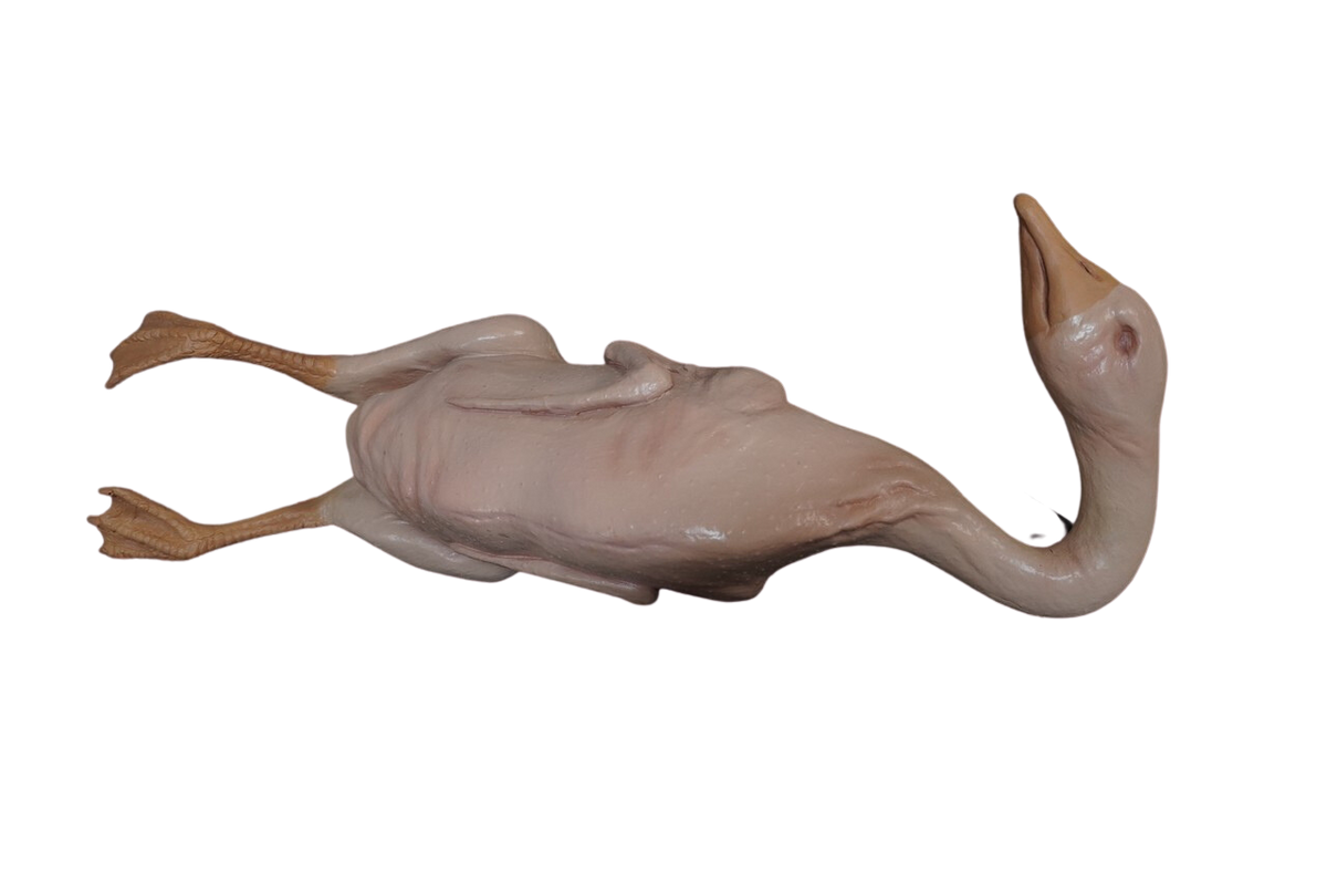 Plucked Goose Prop – Dapper Cadaver Props