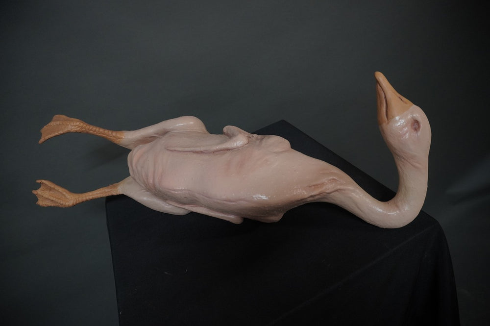 Plucked Goose Prop – Dapper Cadaver Props