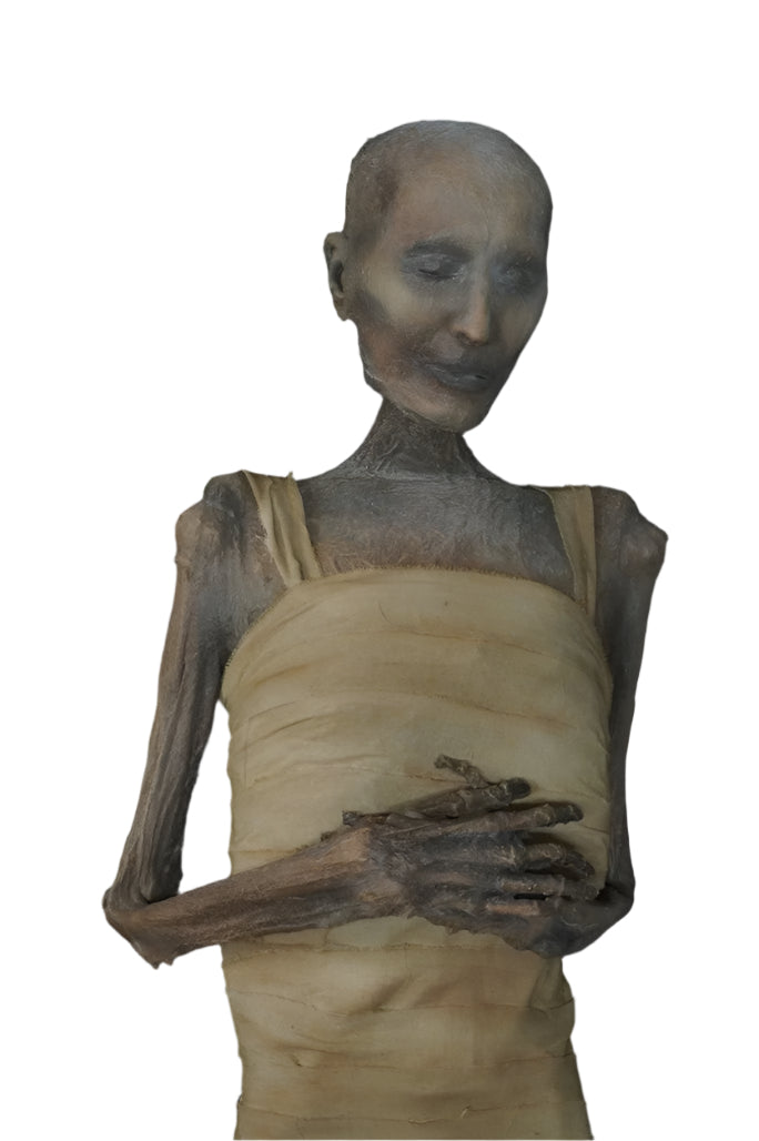 Egyptian Wrapped Nefertari Mummy – Dapper Cadaver Props
