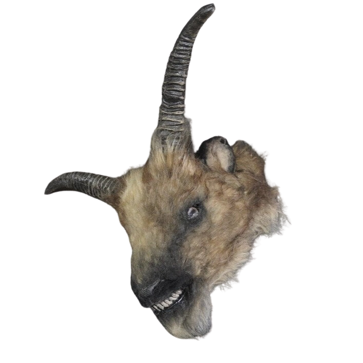 Severed Goat Head Prop – Dapper Cadaver Props