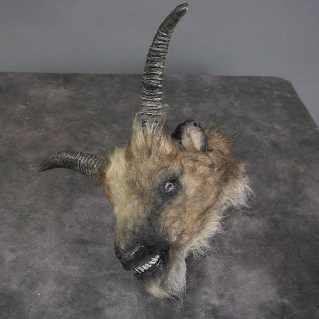 Severed Goat Head Prop – Dapper Cadaver Props