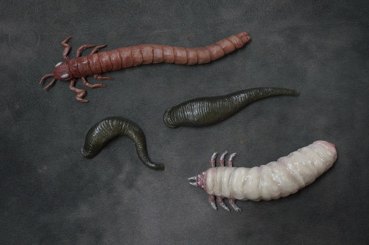 Leech and Parasite Set of 4 – Dapper Cadaver Props