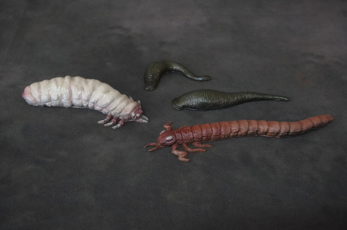 Leech and Parasite Set of 4 – Dapper Cadaver Props