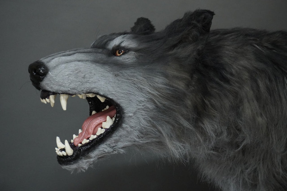 Lifesize Furry Wolf Prop – Dapper Cadaver Props