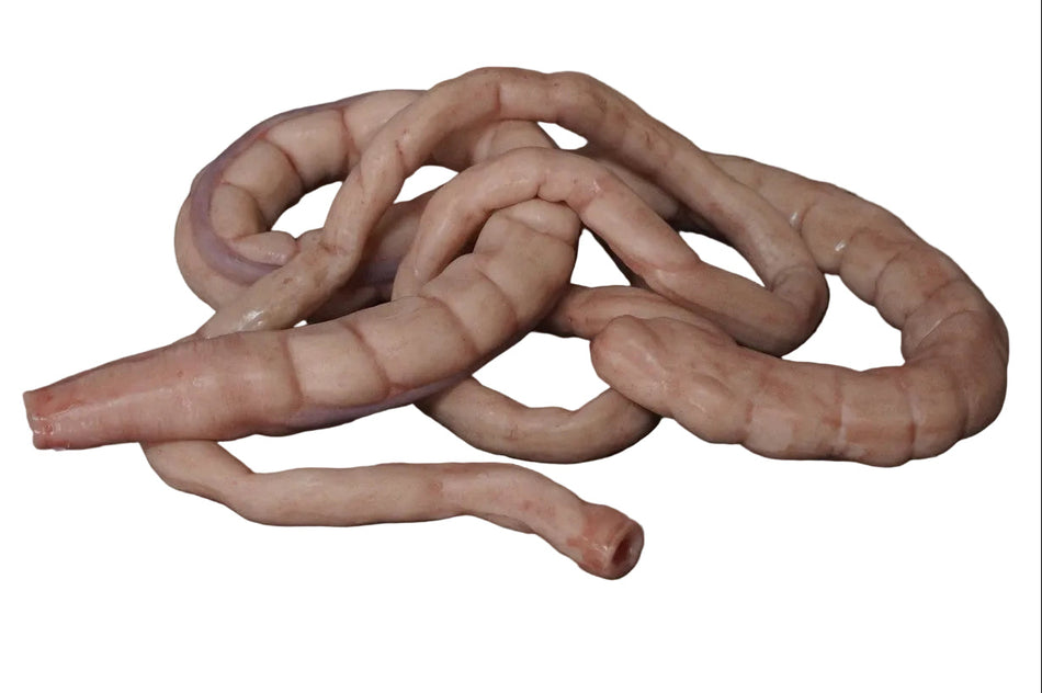 Silicone Rubber Bodies & Parts – Dapper Cadaver Props
