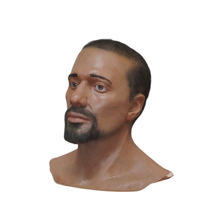 David Head with Goatee – Dapper Cadaver Props