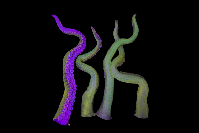 Glowing Poseable Tentacle Prop – Dapper Cadaver Props