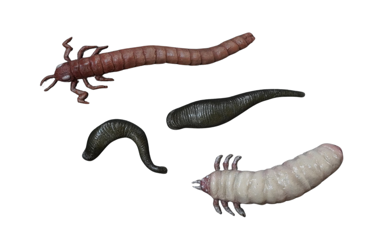 Leech and Parasite Set of 4 – Dapper Cadaver Props