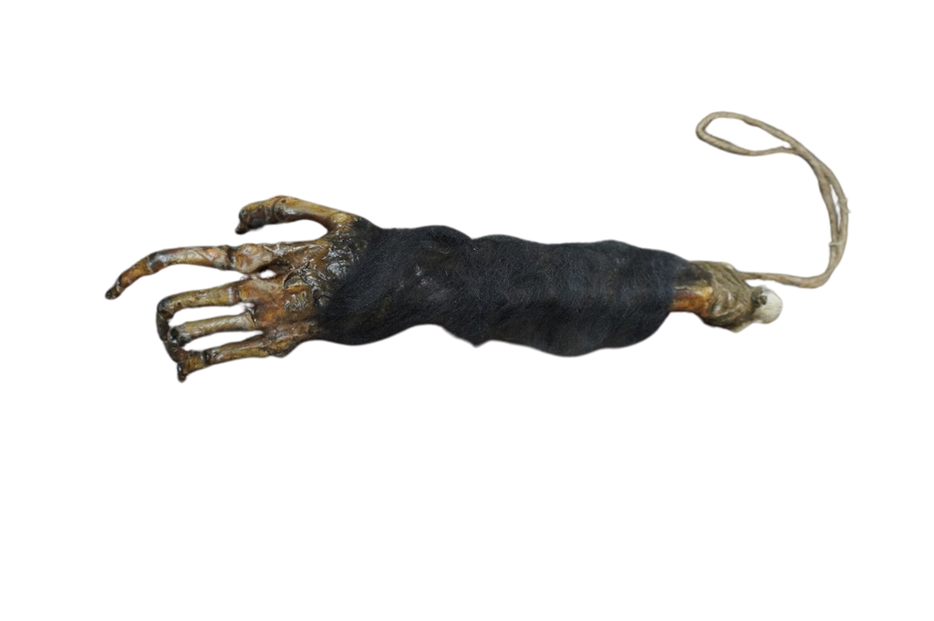 Large Realistic Monkeys Paw Prop – Dapper Cadaver Props