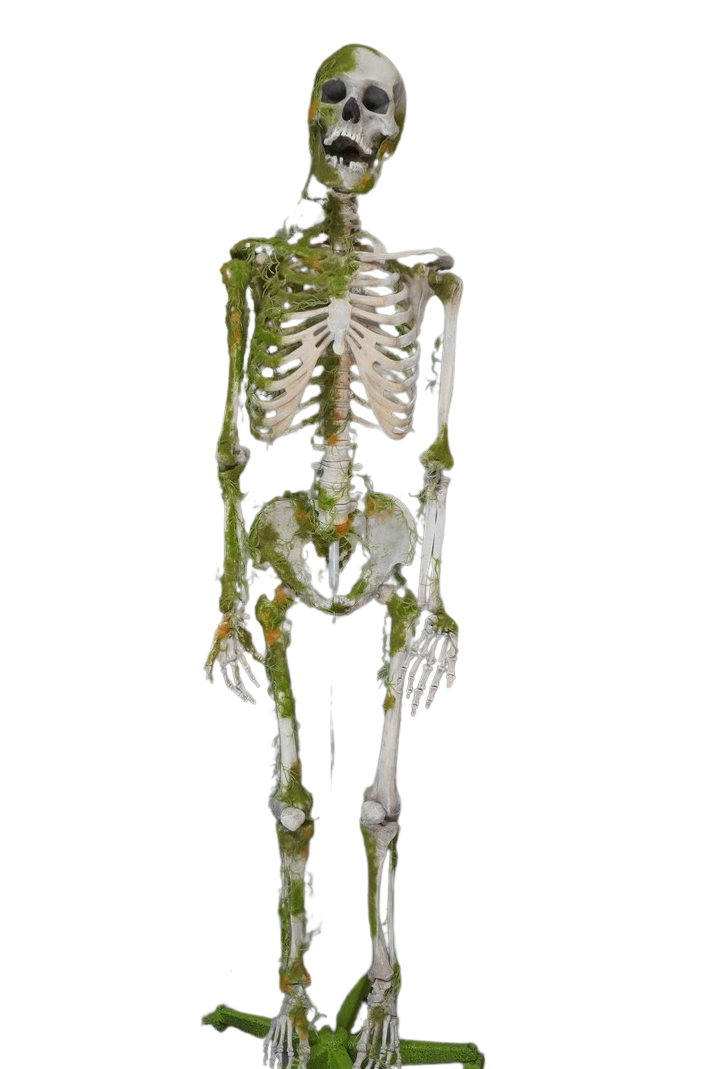 Moss Covered Skeleton – Dapper Cadaver Props