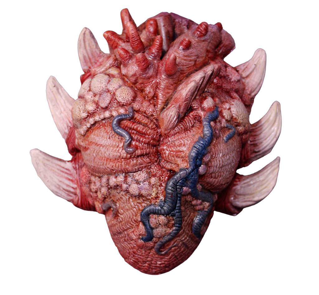 Alien Heart Prop – Dapper Cadaver Props