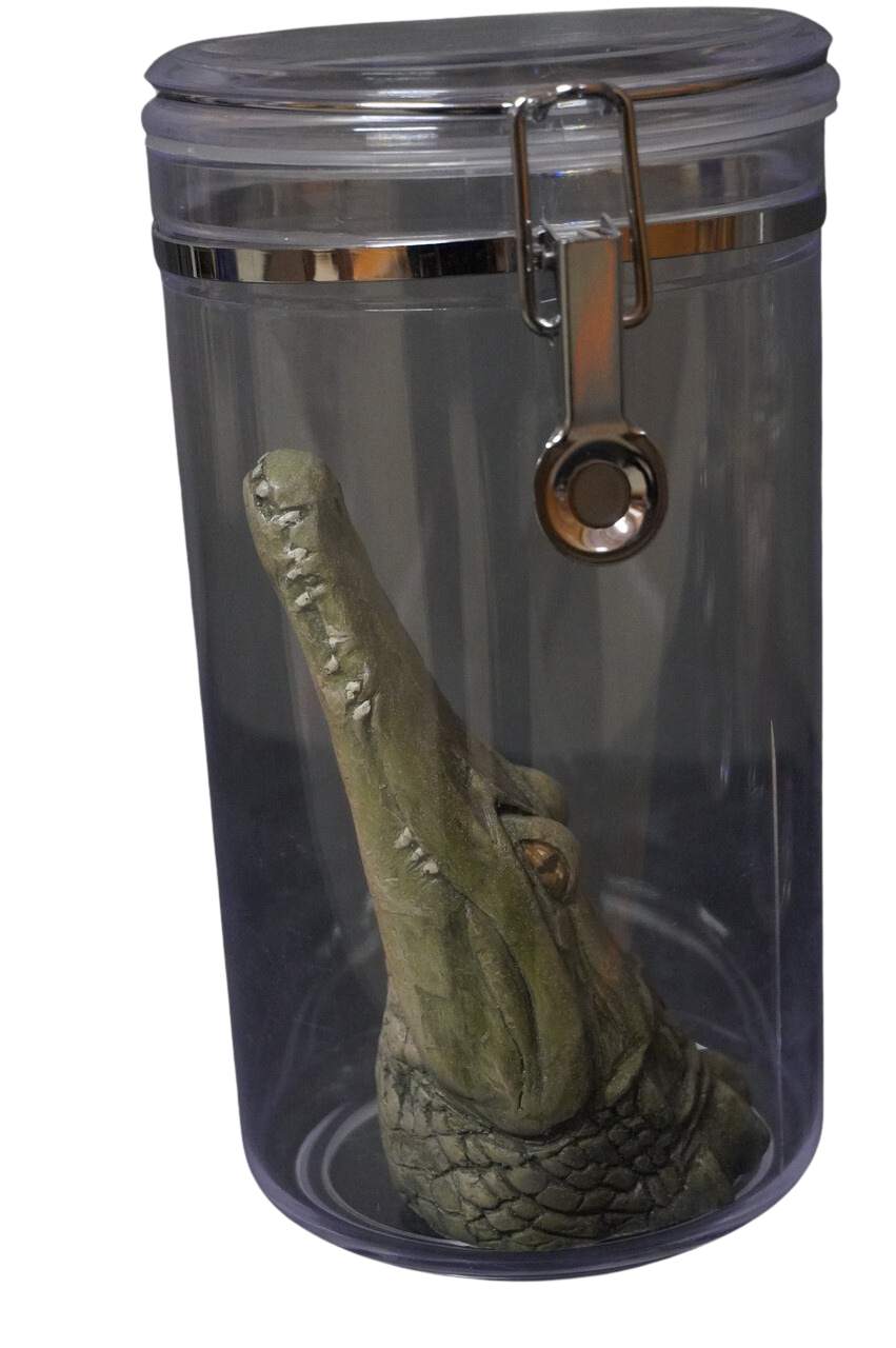Alligator Head Apothecary Specimen Jar – Dapper Cadaver Props