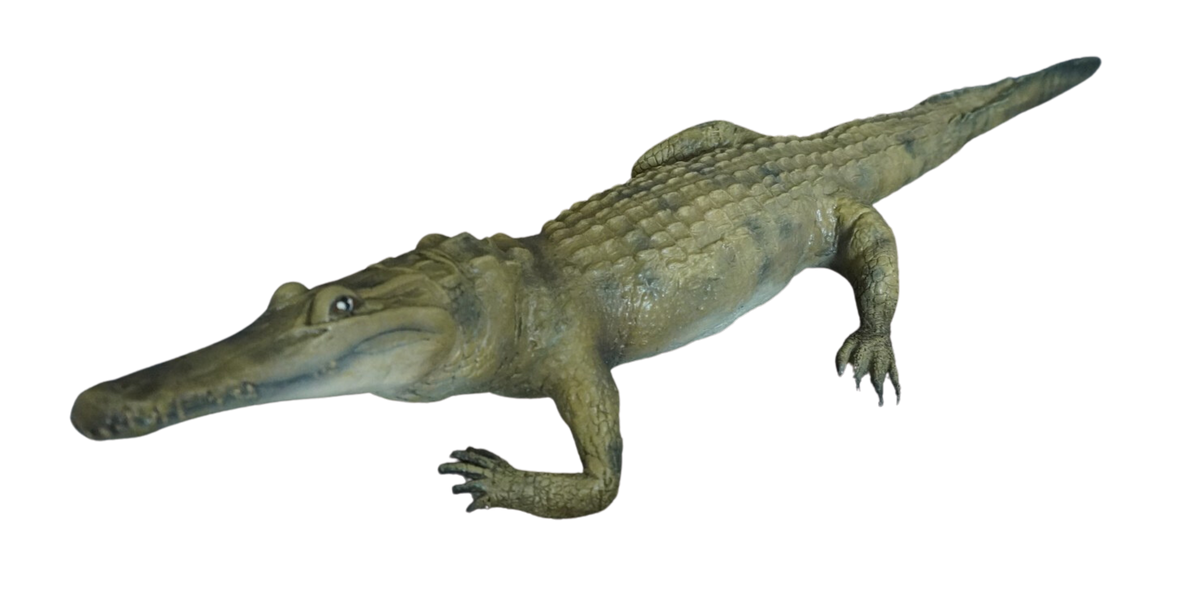 Alligator Prop – Dapper Cadaver Props