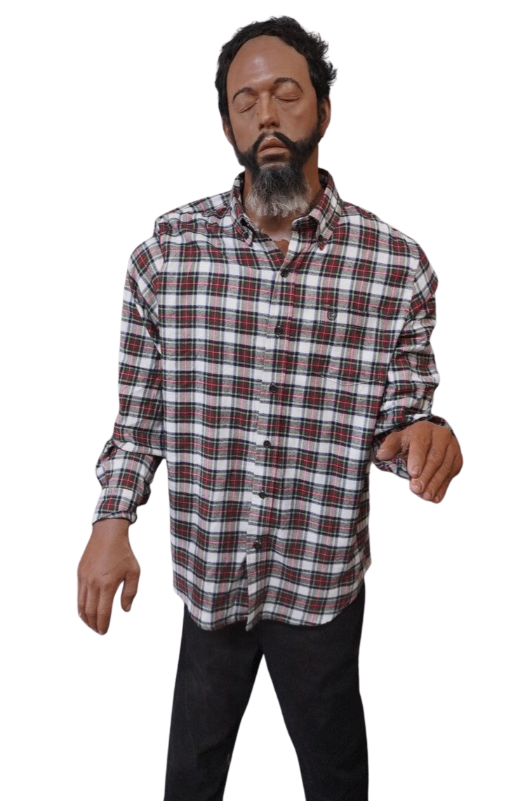 Bearded Richard Value Figure Prop – Dapper Cadaver Props