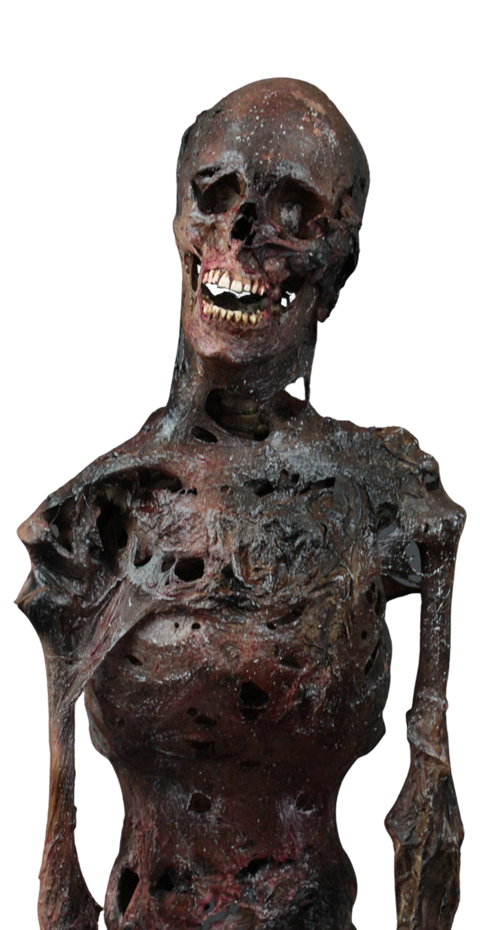 Burnt Skeleton Mummy – Dapper Cadaver Props