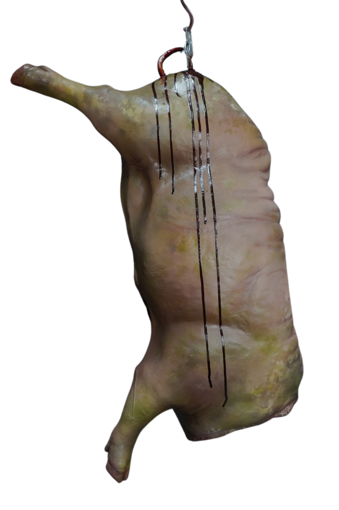 Rotted Headless Hanging Side of Pork – Dapper Cadaver Props
