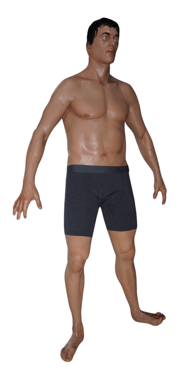 David Full Body – Dapper Cadaver Props