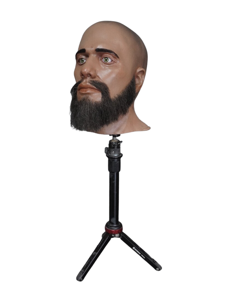 David Head with Human Hair Beard and Mounting Hardware – Dapper Cadaver ...