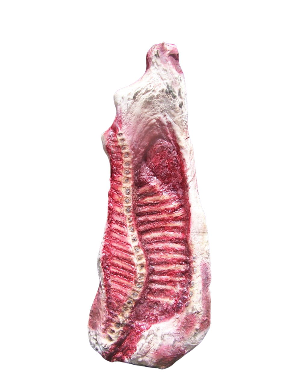 Deluxe 360 Side of Beef Prop – Dapper Cadaver Props