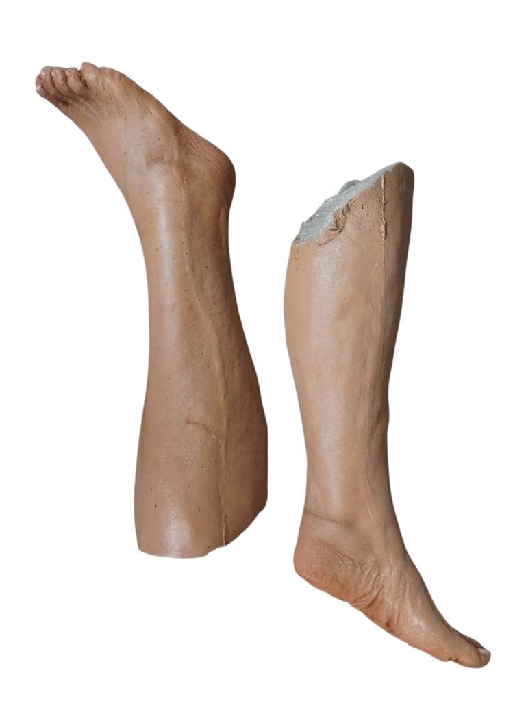 Edith Half Legs Prop – Dapper Cadaver Props