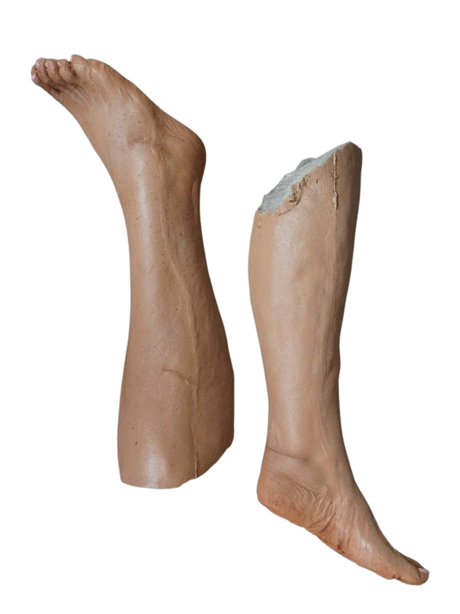 Edith Half Legs – Dapper Cadaver Props