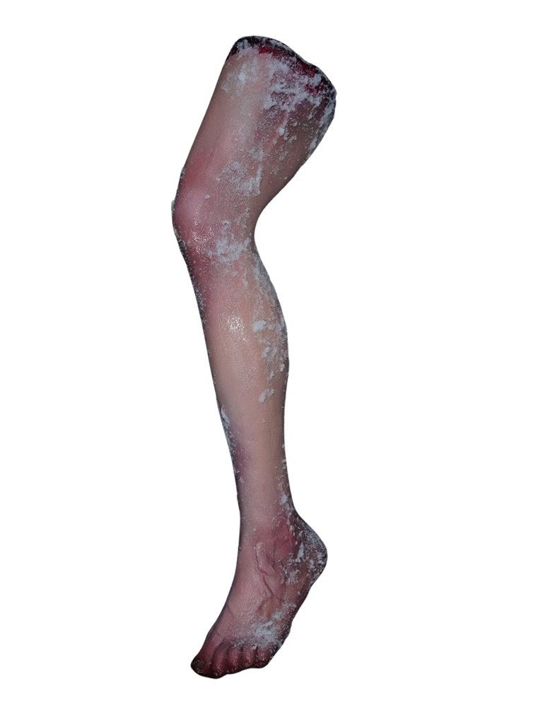 Frozen Hugo Leg – Dapper Cadaver Props
