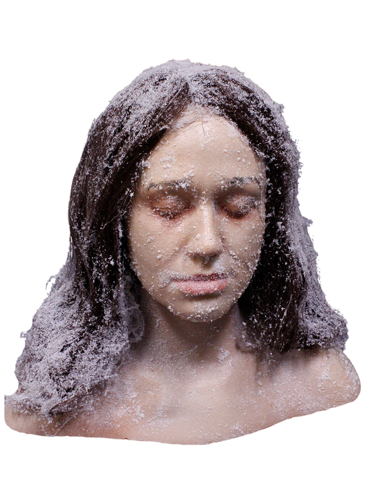 Frozen Fake Body Parts – Dapper Cadaver Props