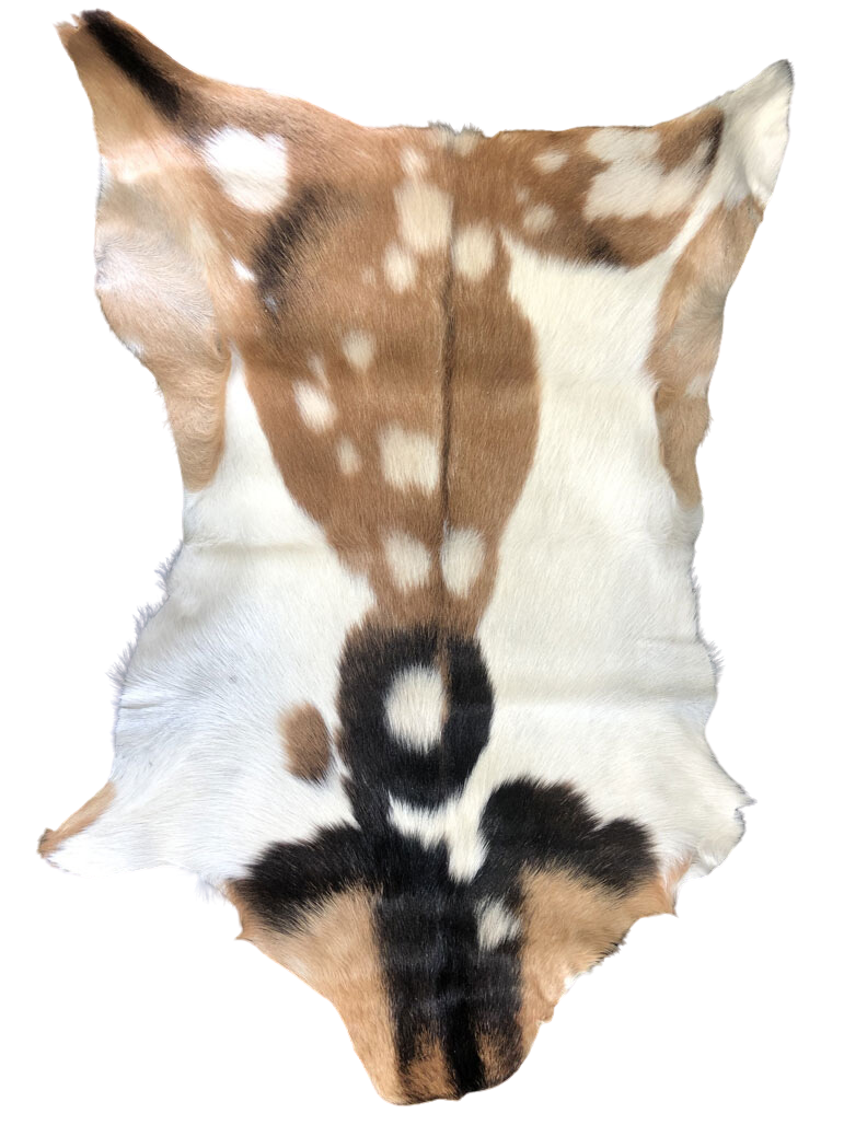 Goat Pelt – Dapper Cadaver Props