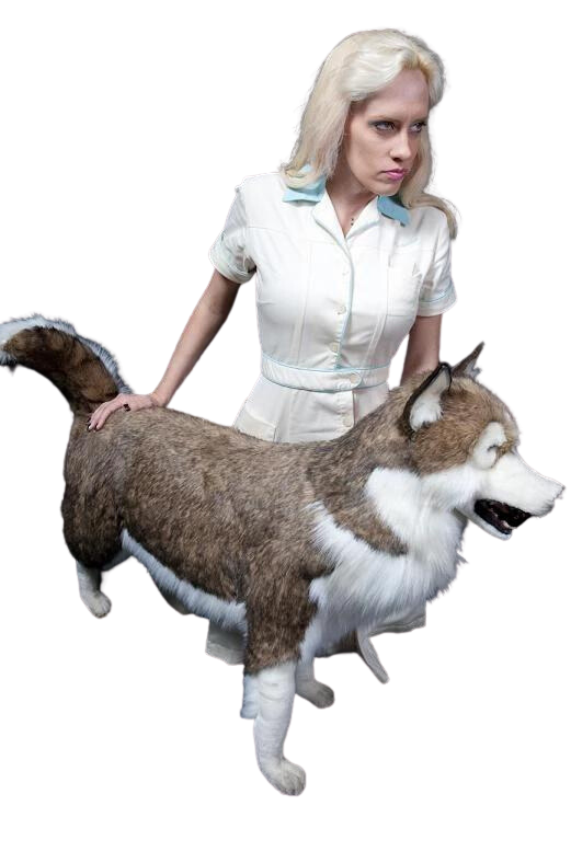Husky Dog Prop – Dapper Cadaver Props