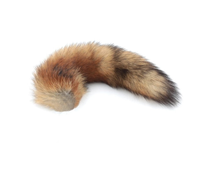 Red Fox Tail Taxidermy – Dapper Cadaver Props