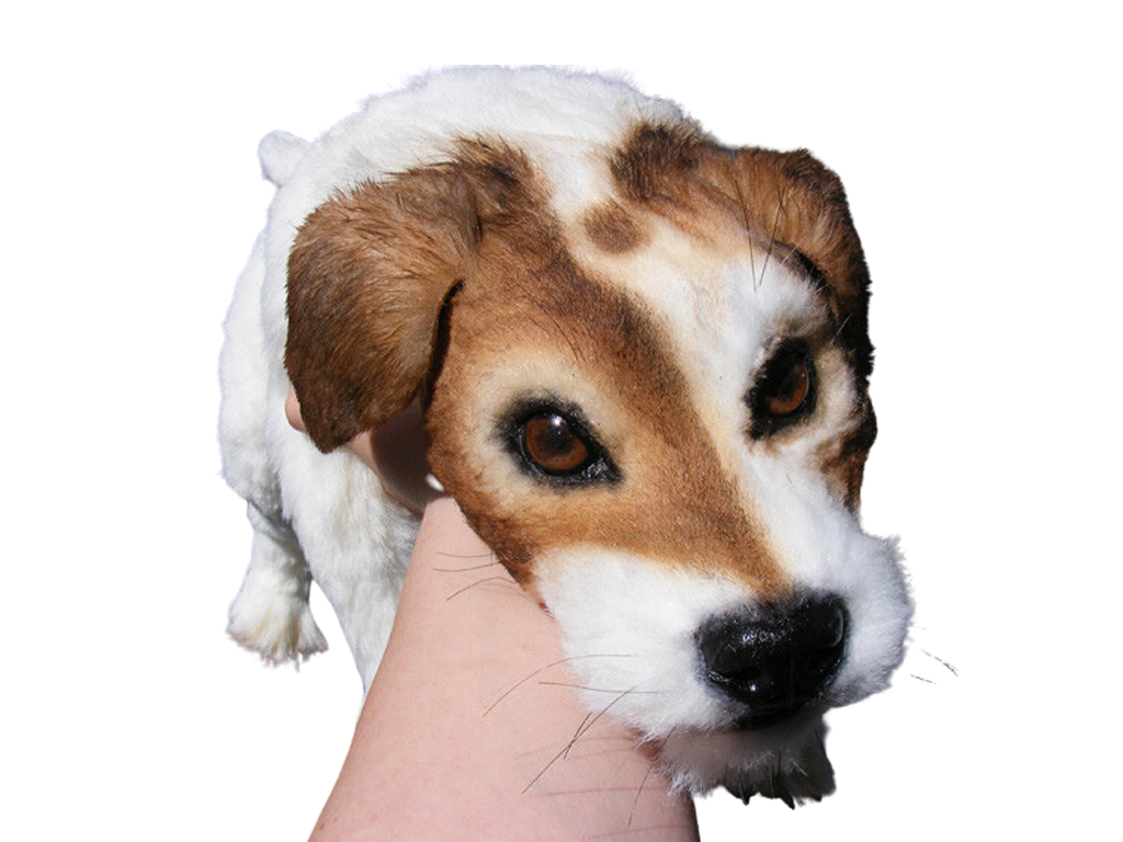 Jack Russell Terrier Dog Prop – Dapper Cadaver Props