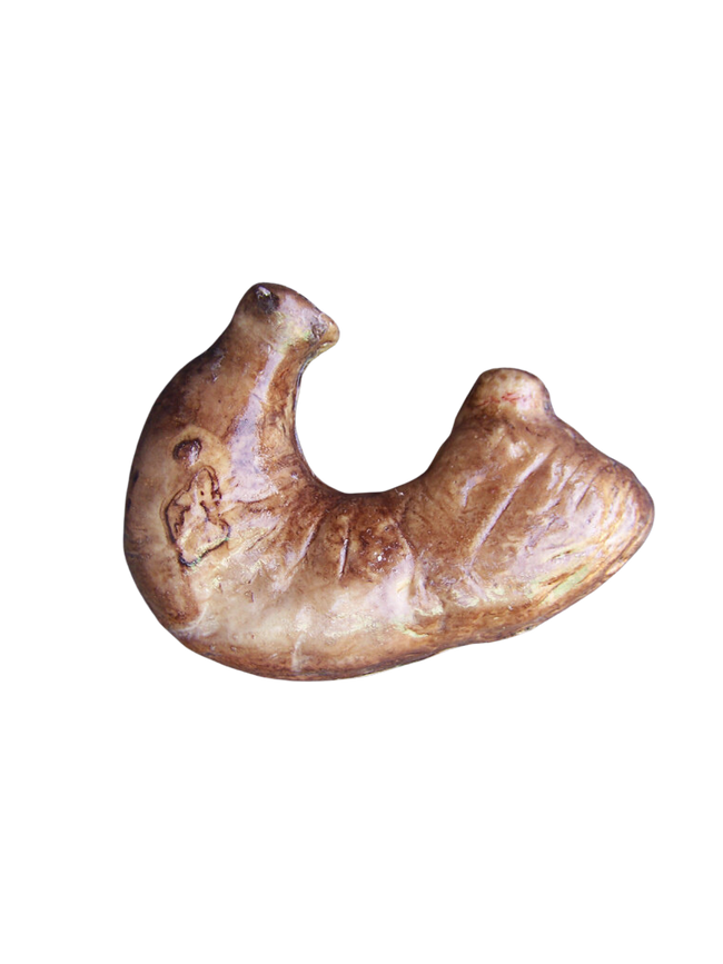 Lifesize Prop Stomach – Dapper Cadaver Props