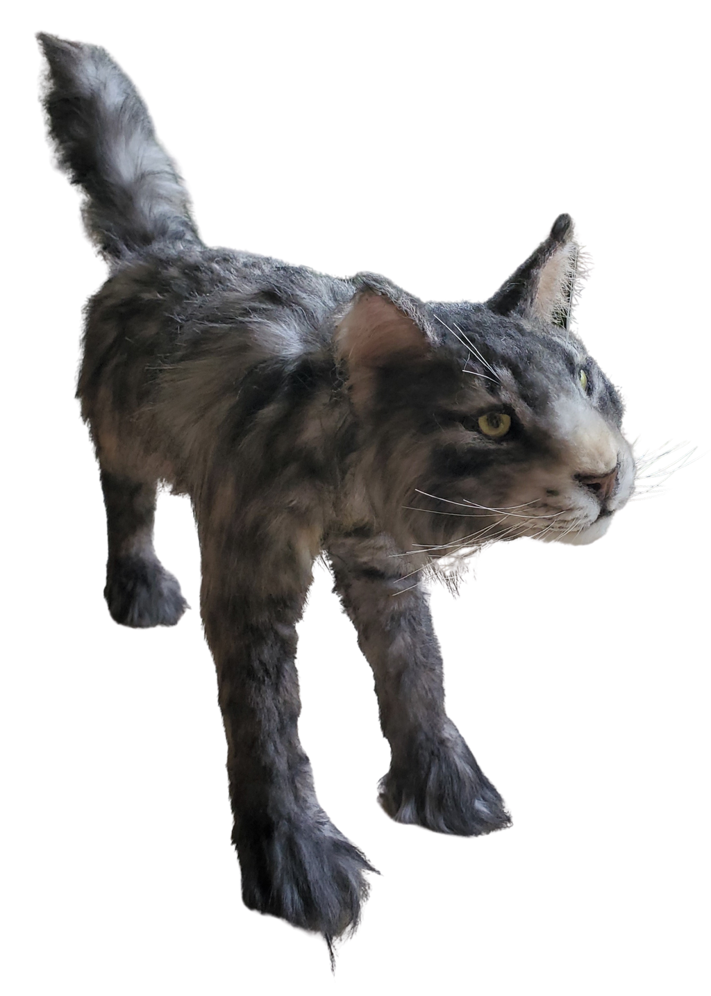 Balinese Long-Hair Cat Prop – Dapper Cadaver Props