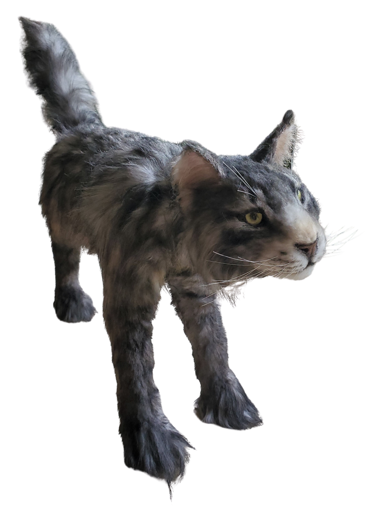 Balinese Long-Hair Cat Prop – Dapper Cadaver Props