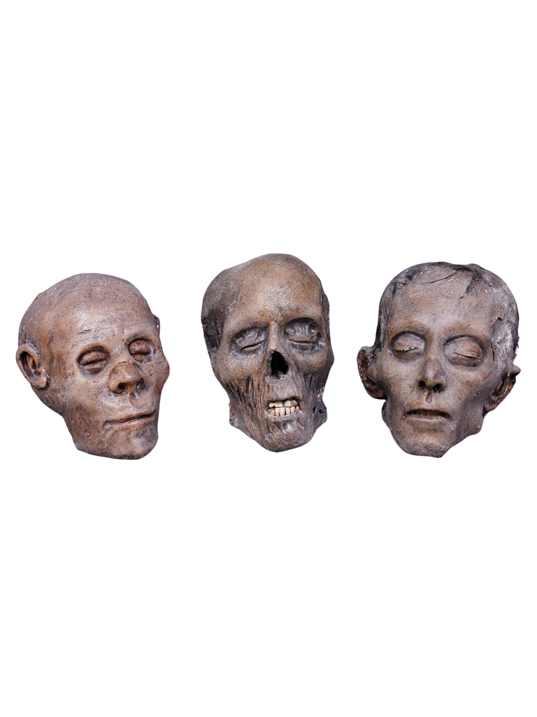 Mummy Skulls Package – Dapper Cadaver Props