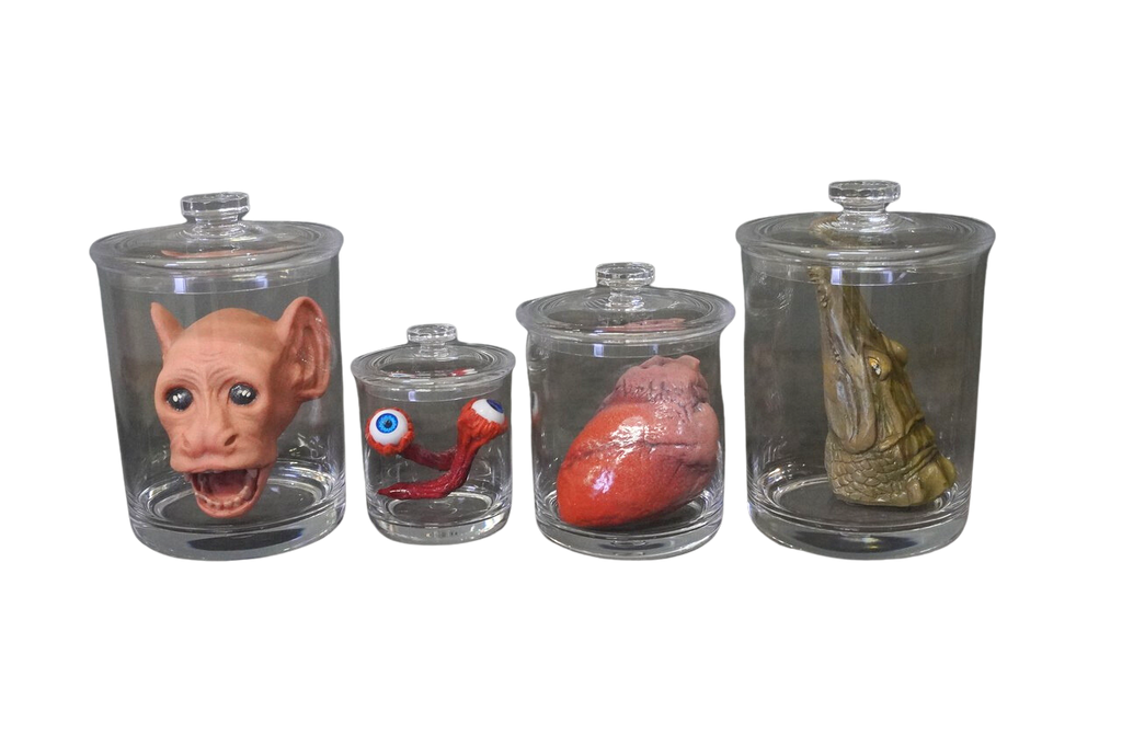 Oddity Animals Shatterproof Specimen Jar Combo – Dapper Cadaver Props