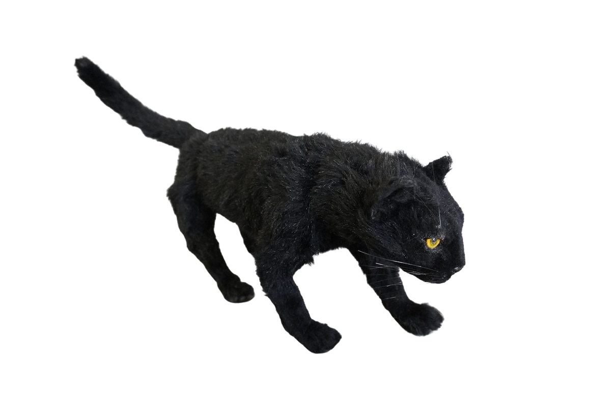 Open Eye Black Cat Prop – Dapper Cadaver Props