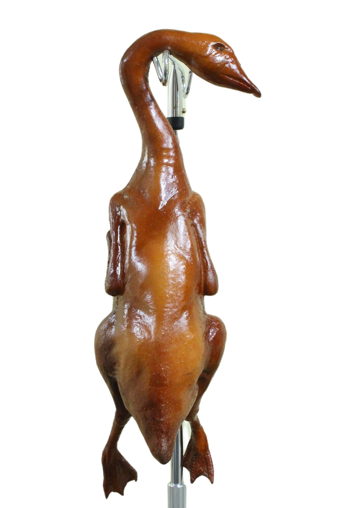 Peking Goose Prop – Dapper Cadaver Props